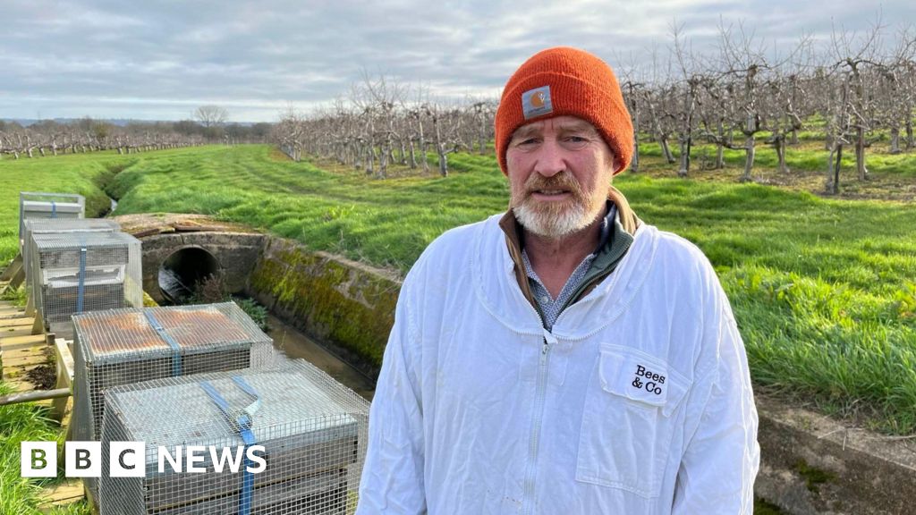 Kent: Asian hornets pose severe threat to pollinators - beekeeper - BBC ...