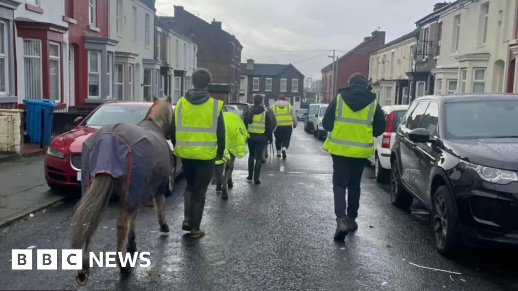 Inner city Liverpool riding school 'won't give up' despite funding ...