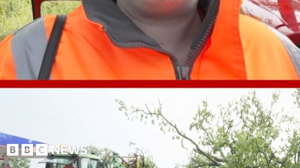 'Fallen tree smashed my car' - BBC News