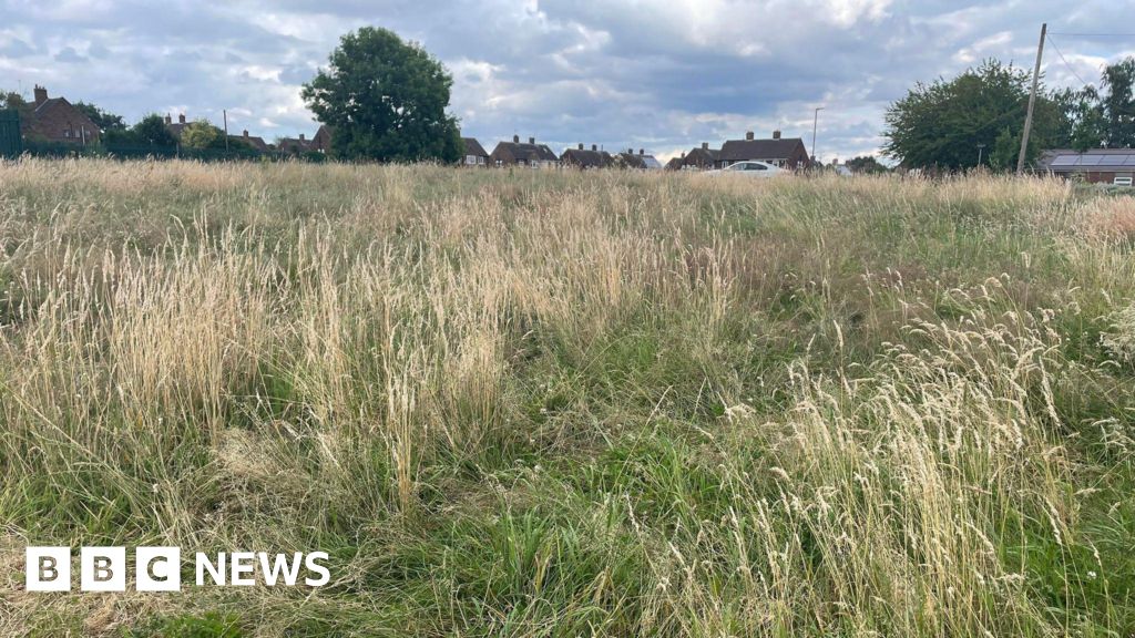 Anger at Erewash council's 'scruffy' new mowing regime - BBC News
