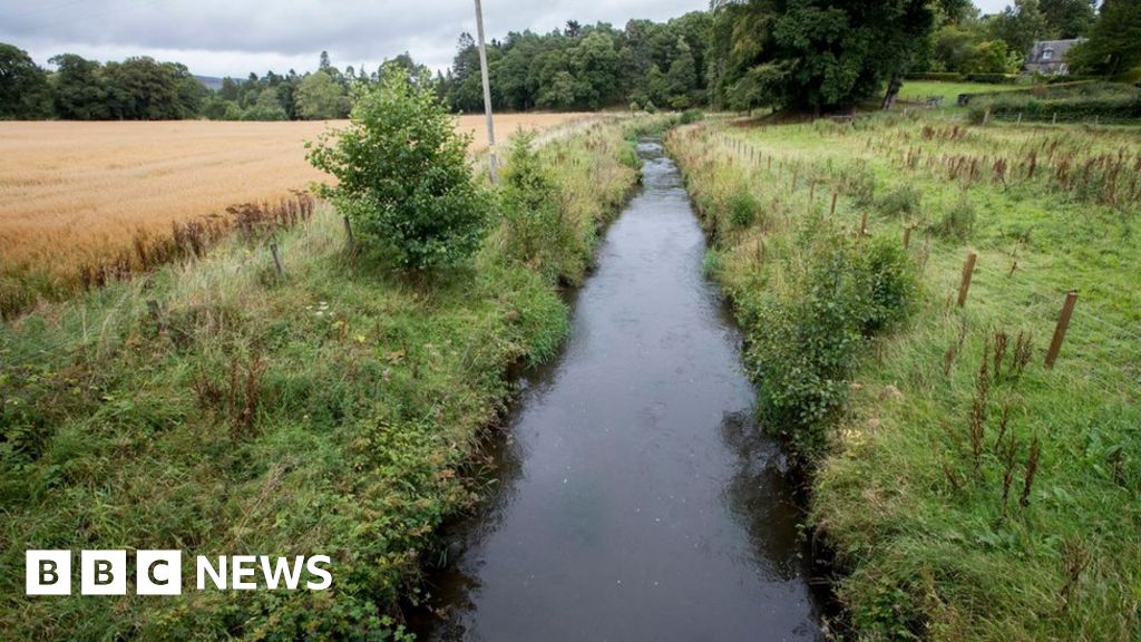 Dull as ditchwater? Inside Holyrood's forgotten committee - BBC News