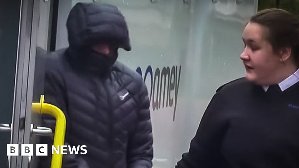 Cardiff: Man admits North Road courier driver killing - BBC News