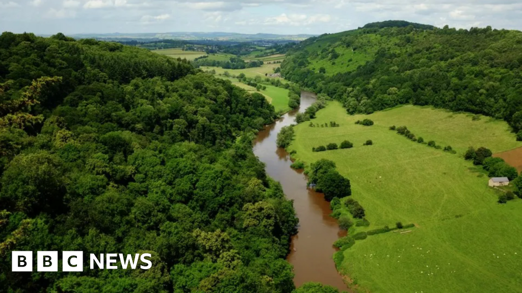 Lawyers set out River Wye pollution claim - BBC News