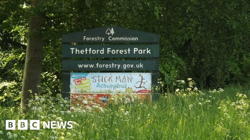 Yorkshire terriers at Thetford Forest 'killed by two large dogs' - BBC News