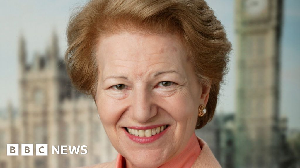 Lib Dems' Baroness Nicholson rejoins Conservatives - BBC News