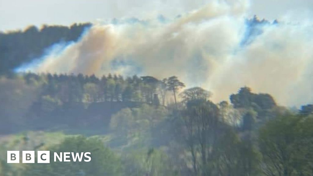 Cannock Chase grassland blaze tackled by crews - BBC News