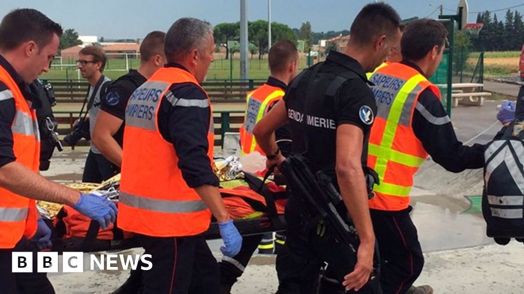 France rail crash: Dozens hurt as train hits tree in hailstorm - BBC News