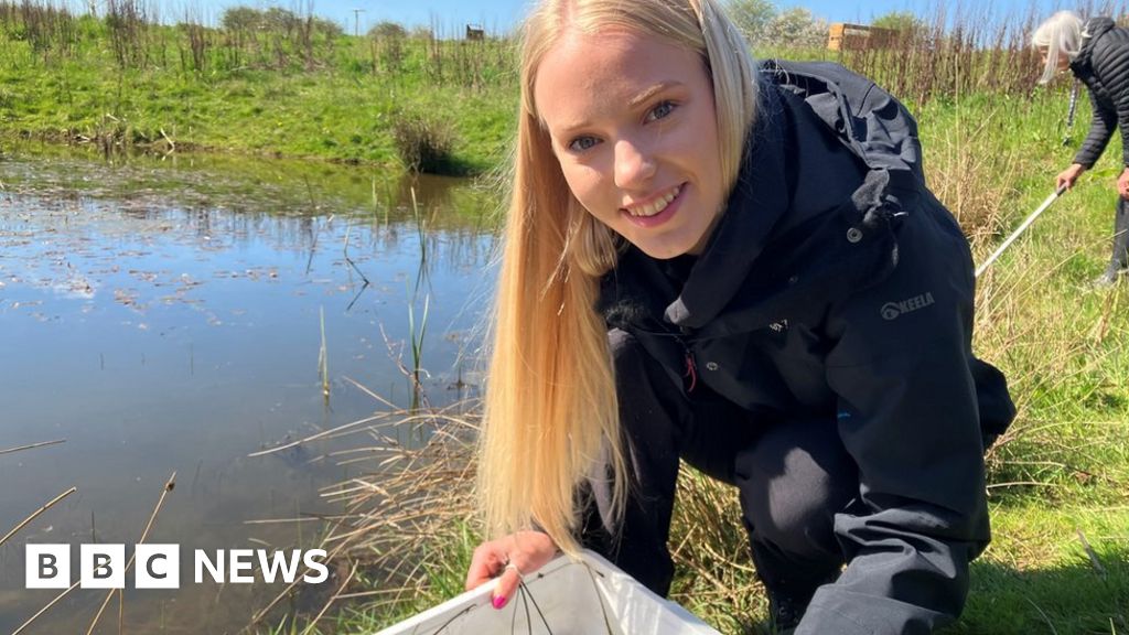 UK's first Young People's Forest helps ease volunteers' climate anxiety ...