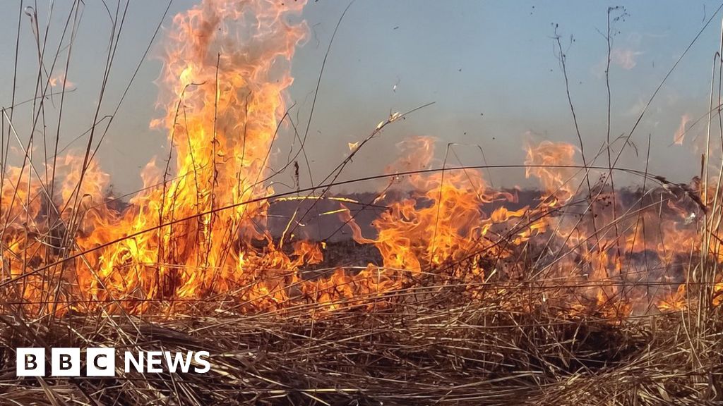 Rural farm fire total in Scotland hits five-year peak - BBC News