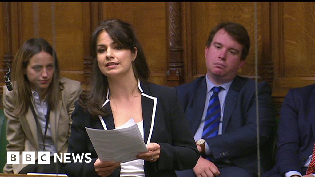 Conservative MP Heidi Allen's maiden Commons speech - BBC News