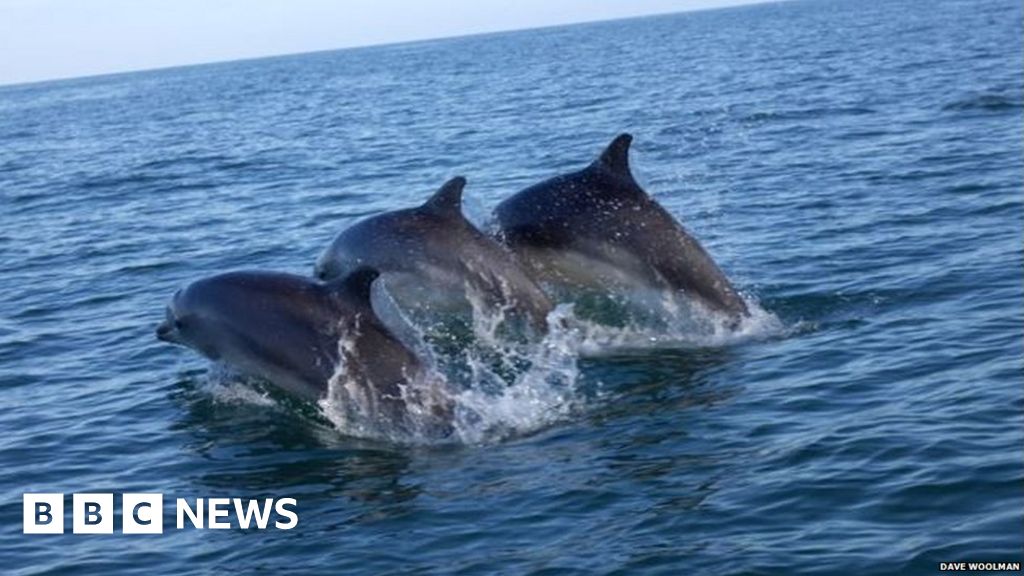 Your Pictures: Photos from Wales - BBC News