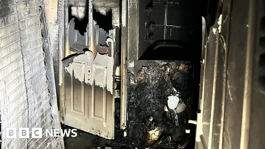 Eight people and a kitten escape Brandon house fire - BBC News
