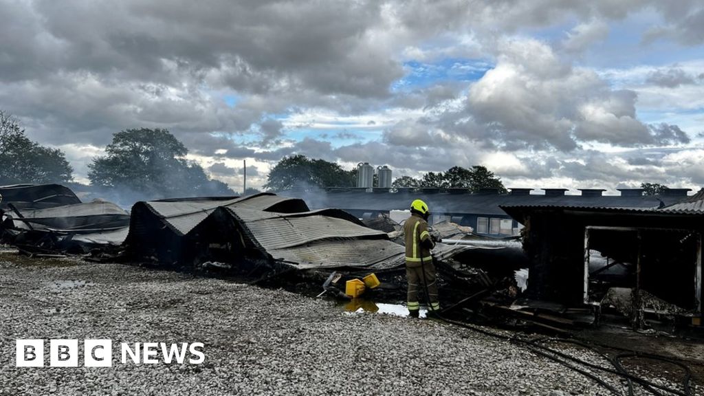 Shed fire near Boroughbridge kills 32,000 chickens - BBC News