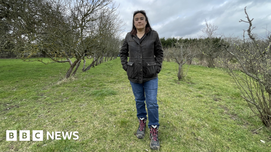 Cambridge: Controversial busway through Coton Orchard is approved - BBC News