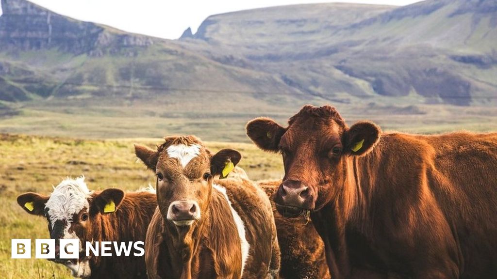 Rising costs impacting on a unique Scottish way of life - BBC News