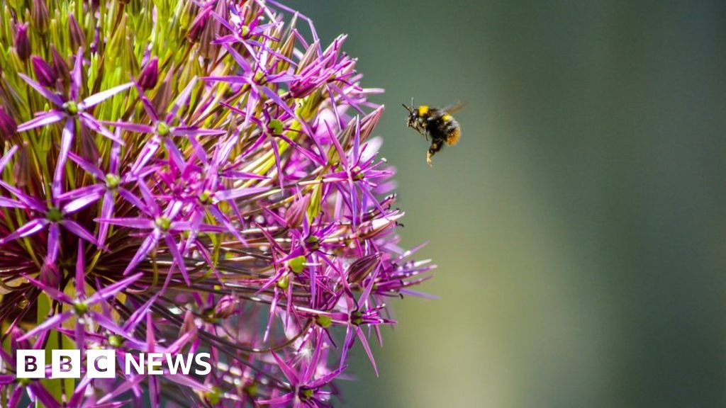 England's Big Picture: 1 - 7 June