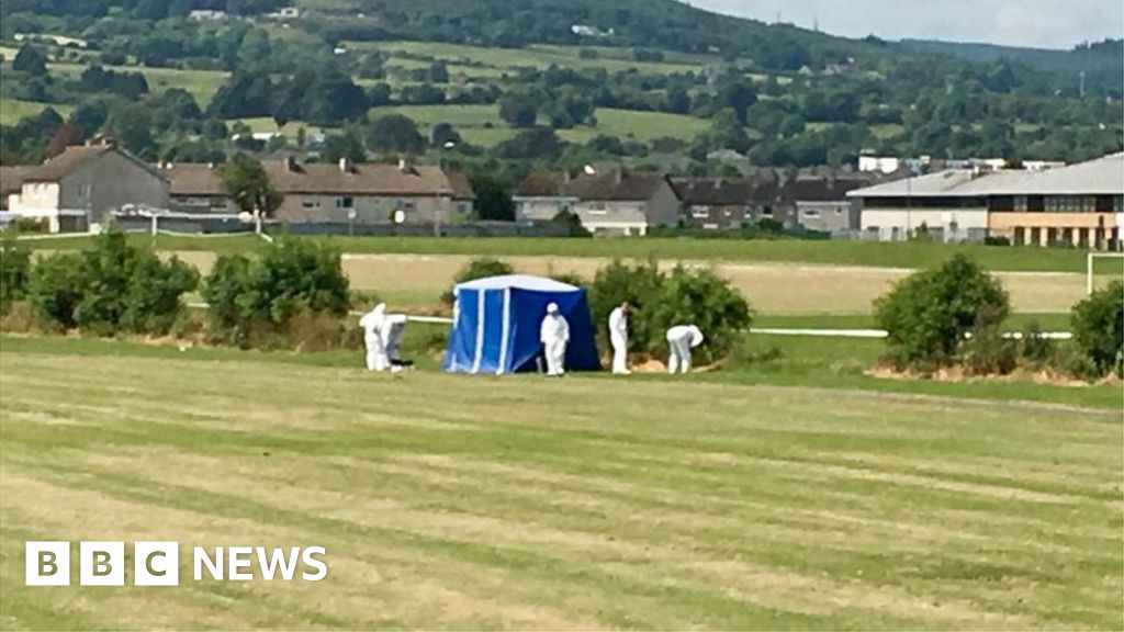 Murder investigation into Tallaght Park death
