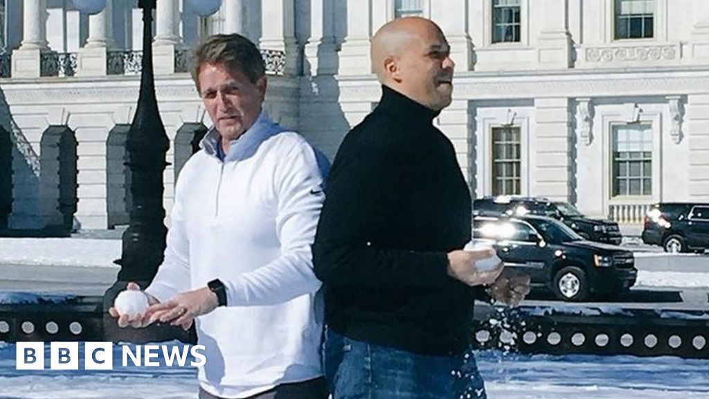 US senators have snowball fight on Capitol Hill - BBC News