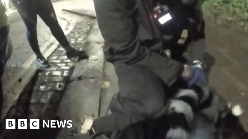 Two Bristol police officers dismissed for 'unnecessary force' on woman ...