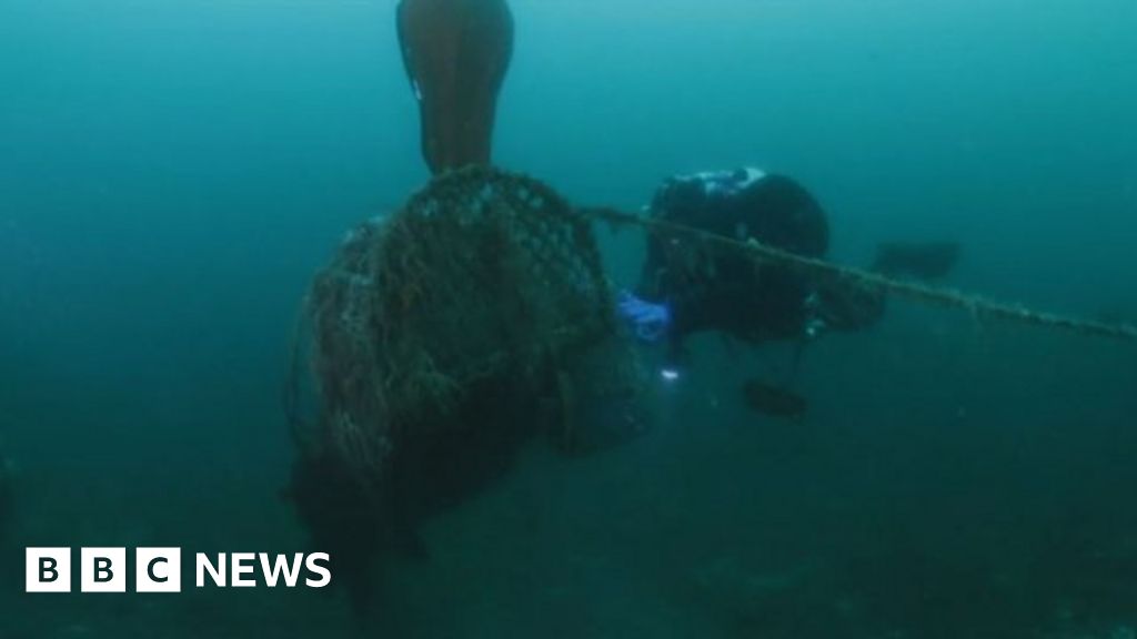 'Ghost fishing' clean-up begins in Scapa Flow - BBC News
