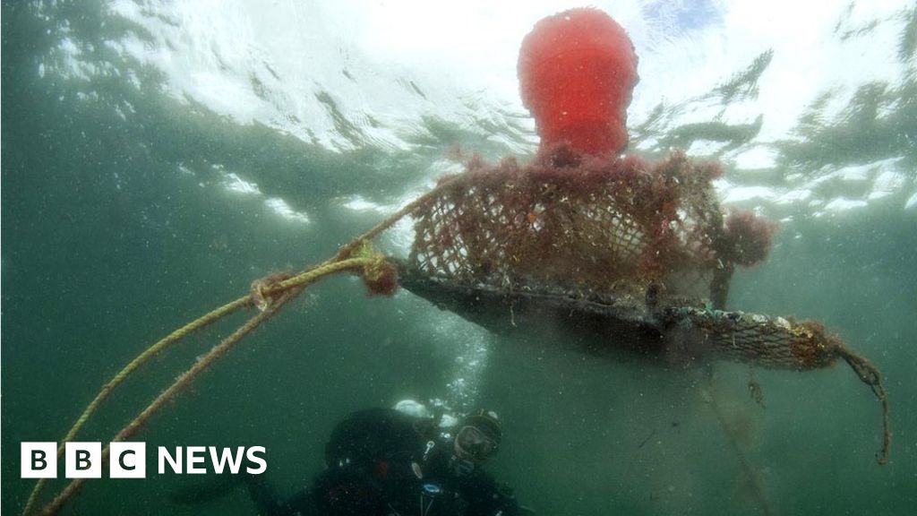 Clean up of 'ghost fishing gear' off Orkney - BBC News
