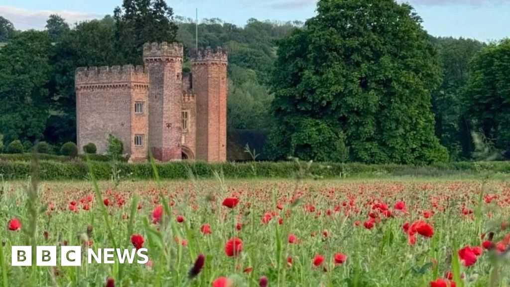 Kent weekly round-up: 1 June - 7 June 2024