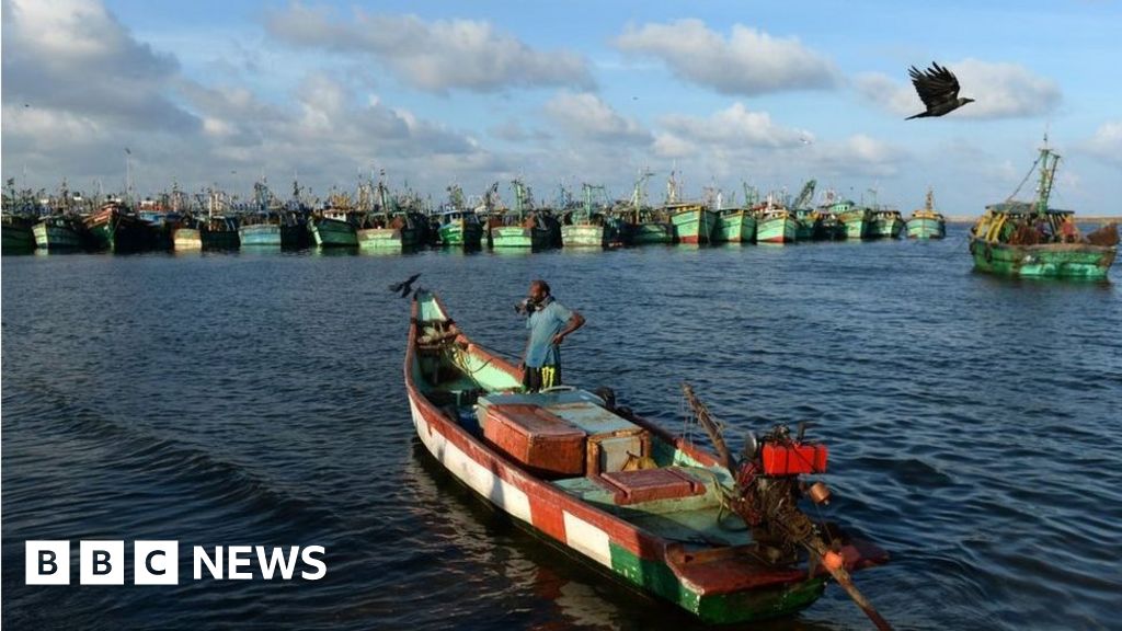 Using a cheap smartphone to catch fish