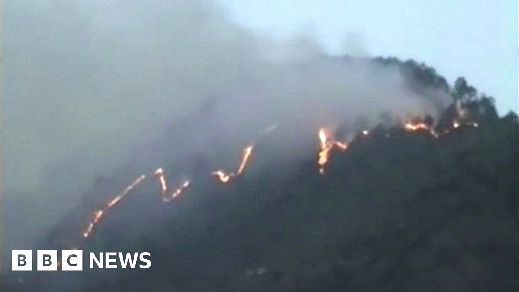 Indian officials: Forest fires being brought under control - BBC News