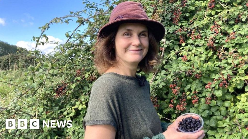 Foragers say wet summer has helped blackberry crops