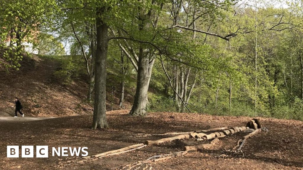 Giant stick skeleton coming to Eden Project