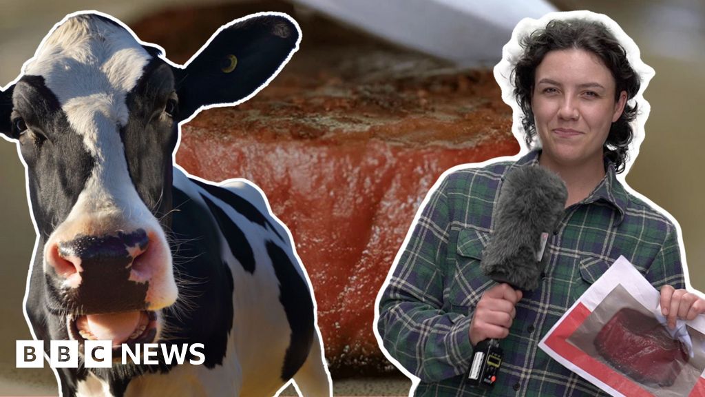Lab-grown meat: Would people in Cardiff eat it? - BBC News
