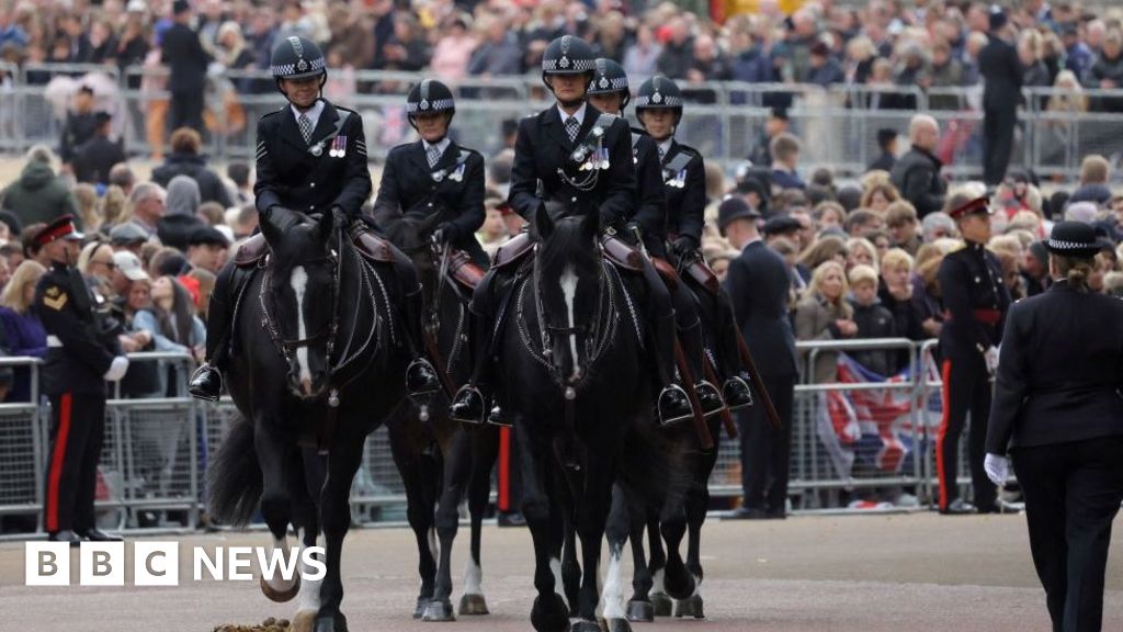 Queen's funeral: Policing an 'enormous success', says police chief ...