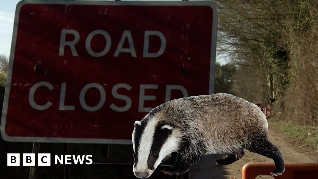 'Badger damage' closes Somersham road