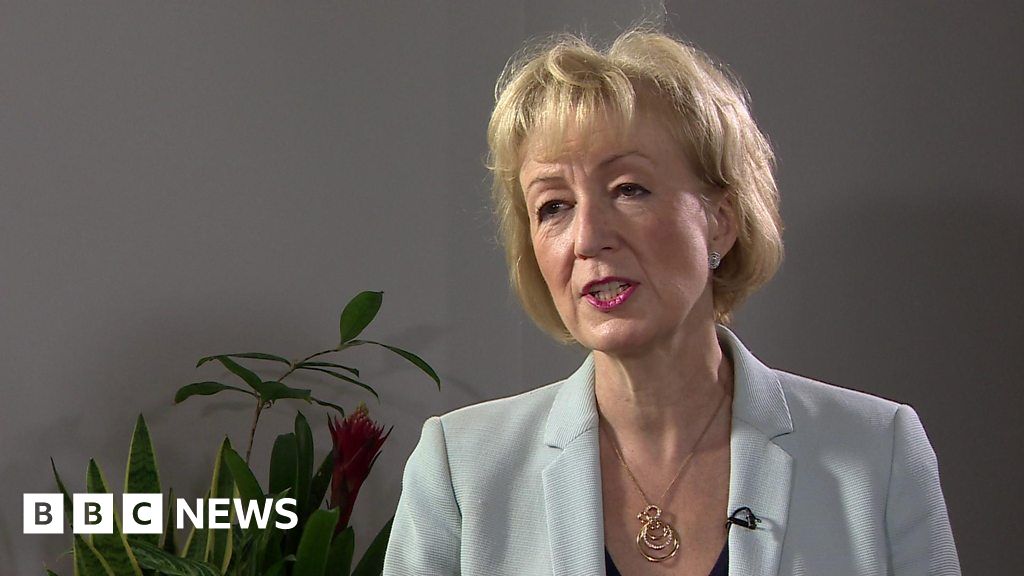 In full: Andrea Leadsom on CV and 'honourable' campaign - BBC News