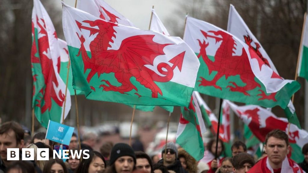 Devolution not a disaster, says Senedd Tory leader - BBC News