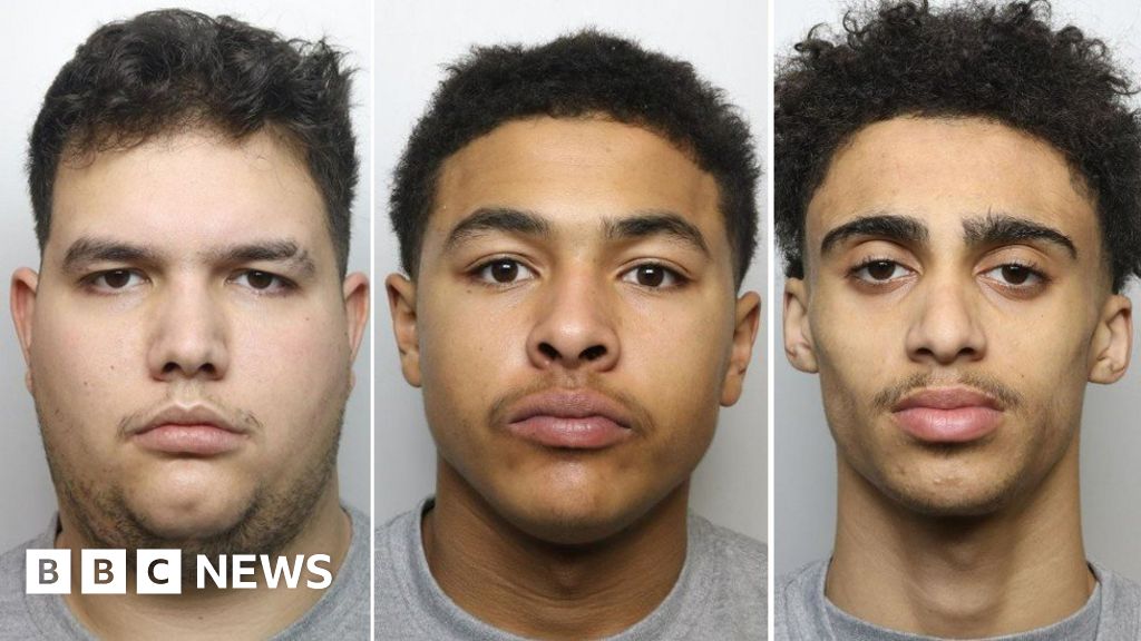 Reece Heffernan stabbing: Three jailed for murder Reece Heffernan stabbing: Three jailed for murder