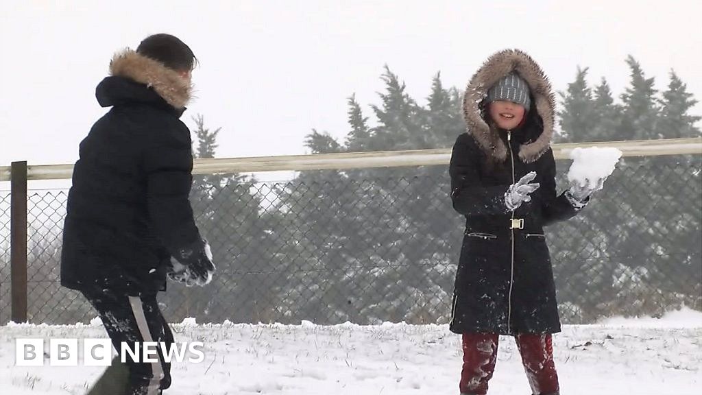 Hampshire: Sledging and snowballs as families enjoy the snow - BBC News