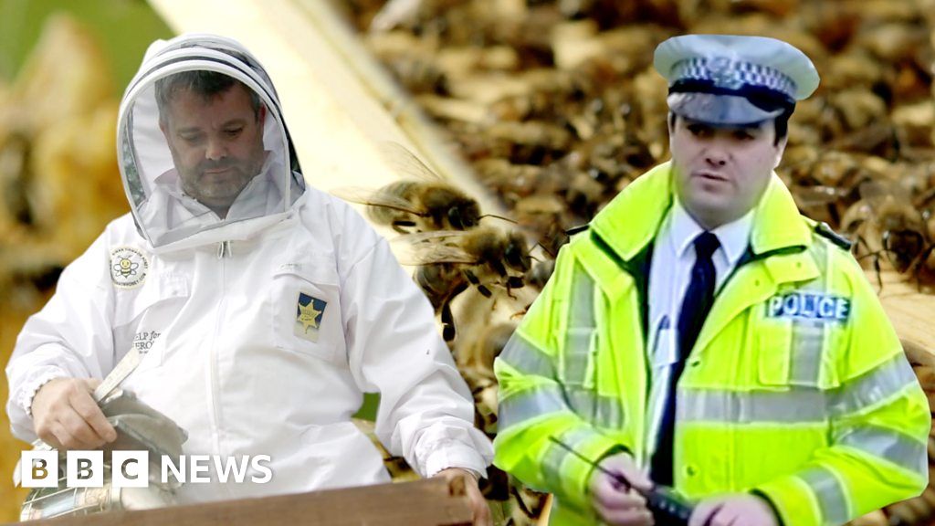 Former police officer says beekeeping has helped with PTSD - BBC News