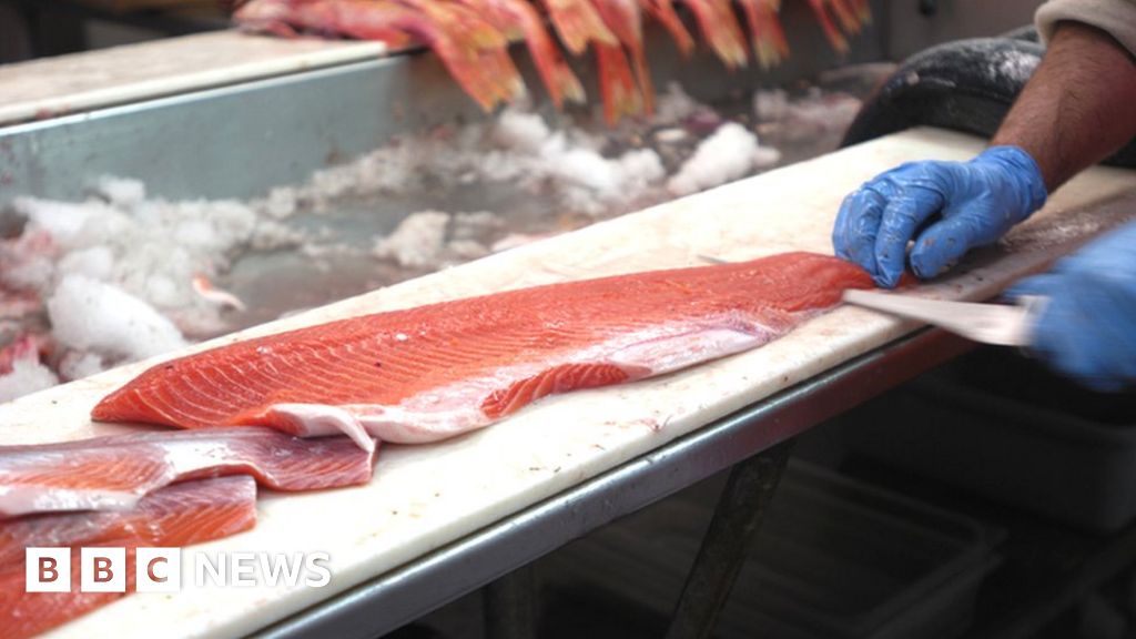 Jobs lost after seafood producer Dawnfresh collapses - BBC News