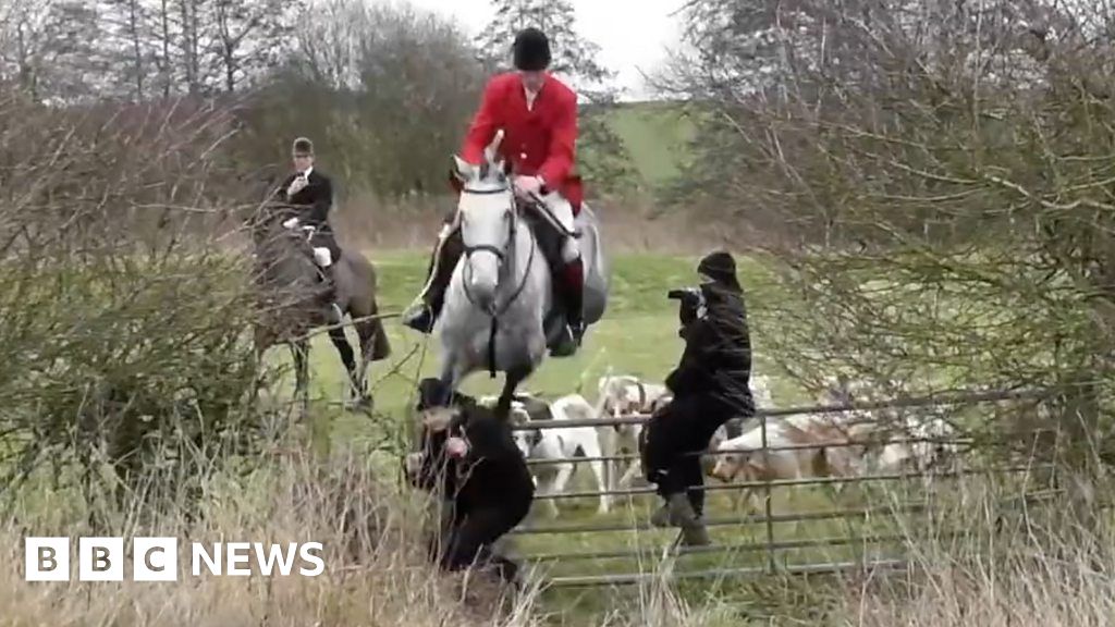 Hunt saboteur struck by jumping horse rider in Rutland - BBC News