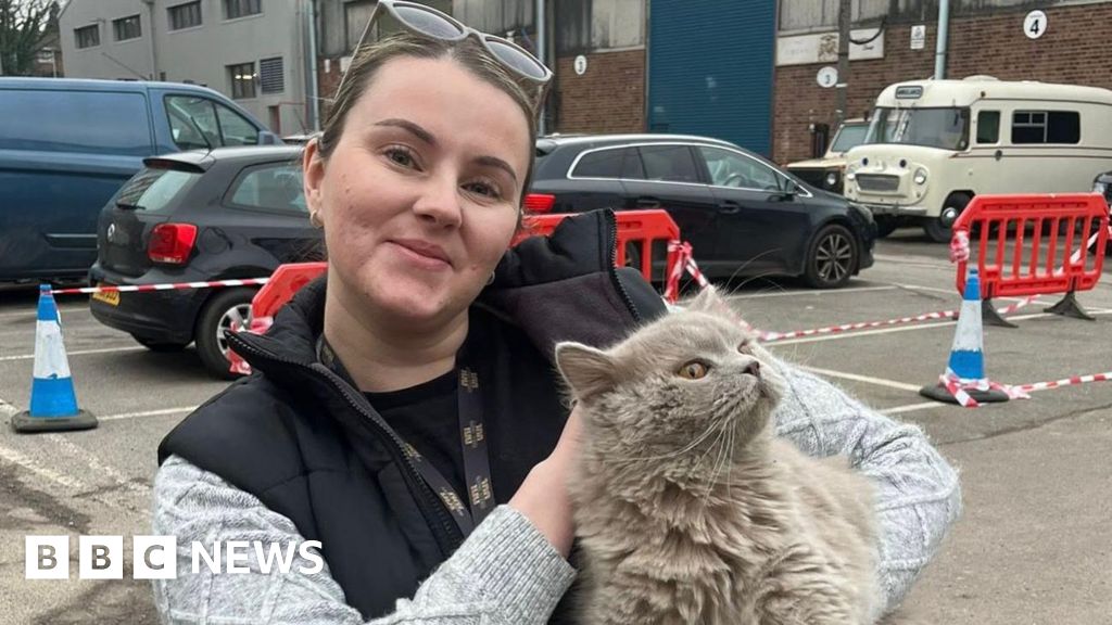 Missing cat's Wicked and Strictly Come Dancing Elstree Studios visit ...