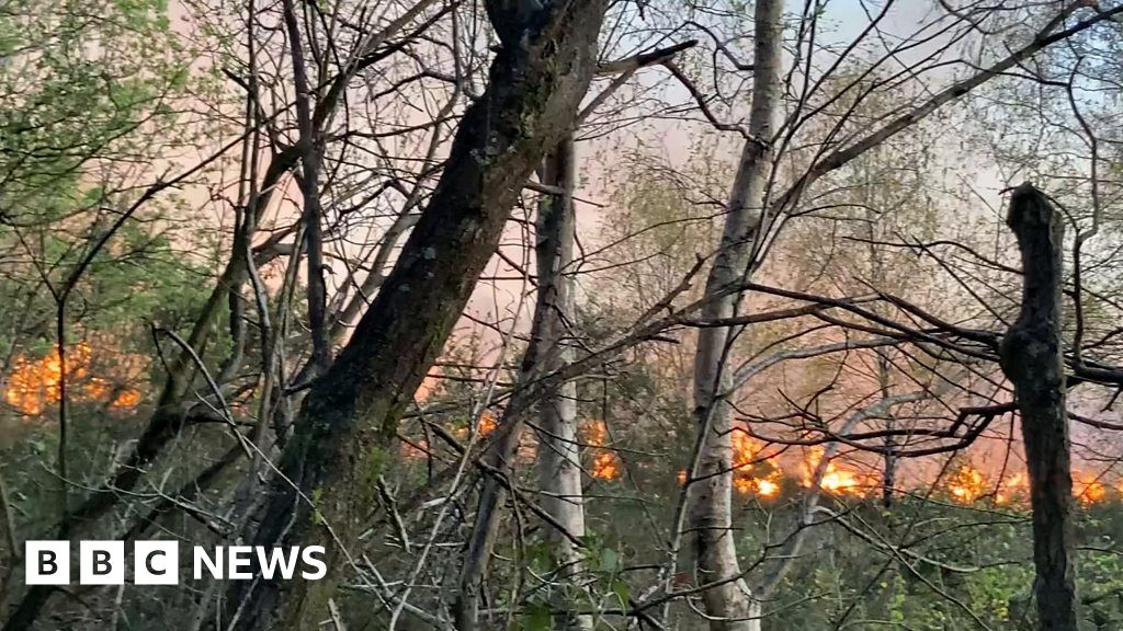 Dorset heathland fires: Sixth incident in four days - BBC News