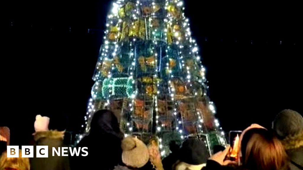 Alternative Christmas trees provide festive flair - BBC News