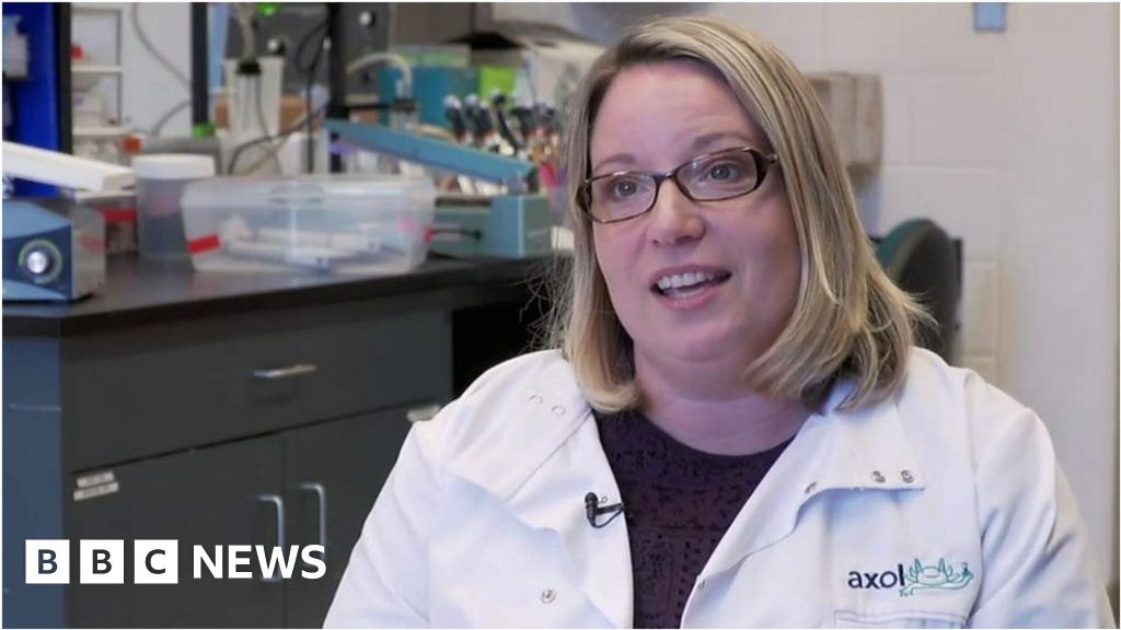 US mid-term elections: Truth-seeking scientists run for office