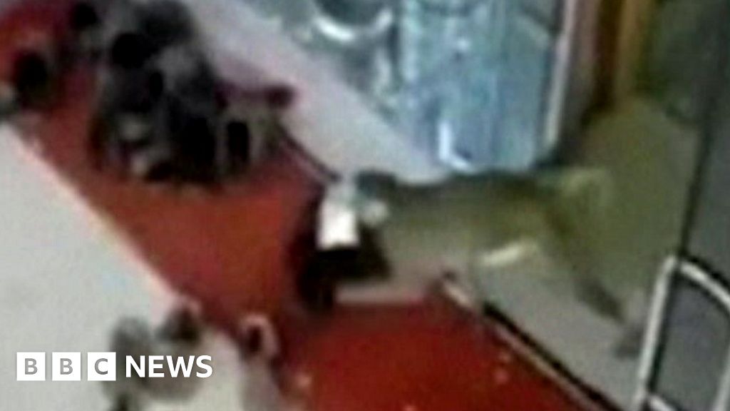 Cheeky monkey steals cash from jewellery shop in India - BBC News