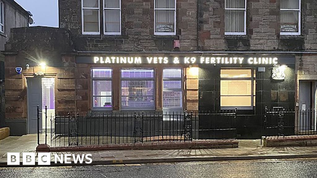Police probe after vet surgery in Strathaven 'firebombed' - BBC News