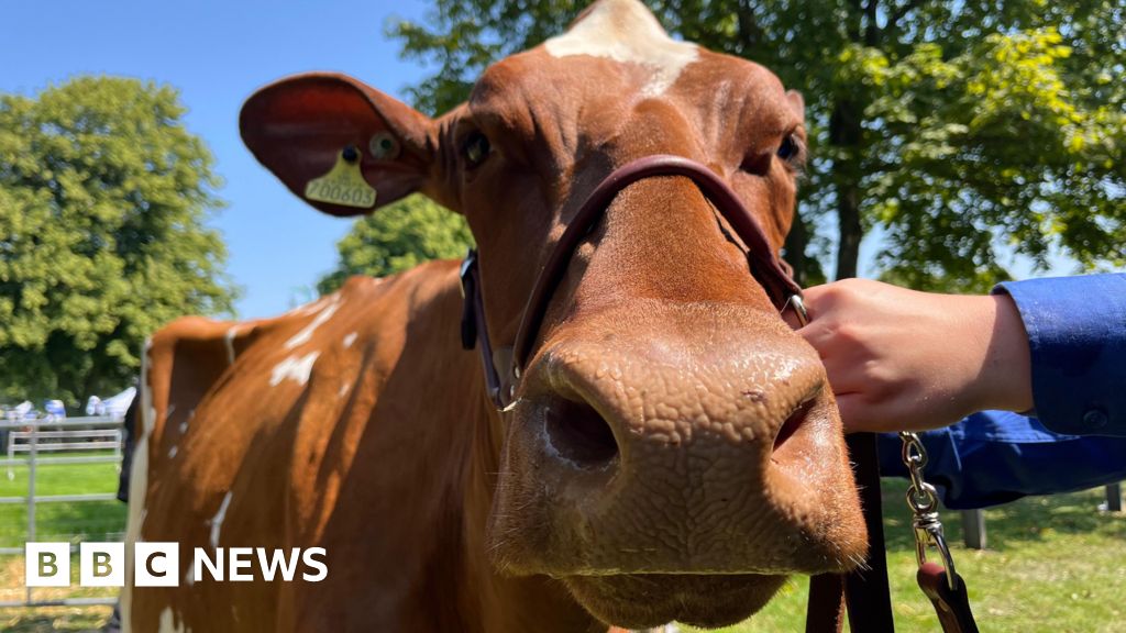 Royal Norfolk Show day two kicks off with thousands in attendance - BBC ...