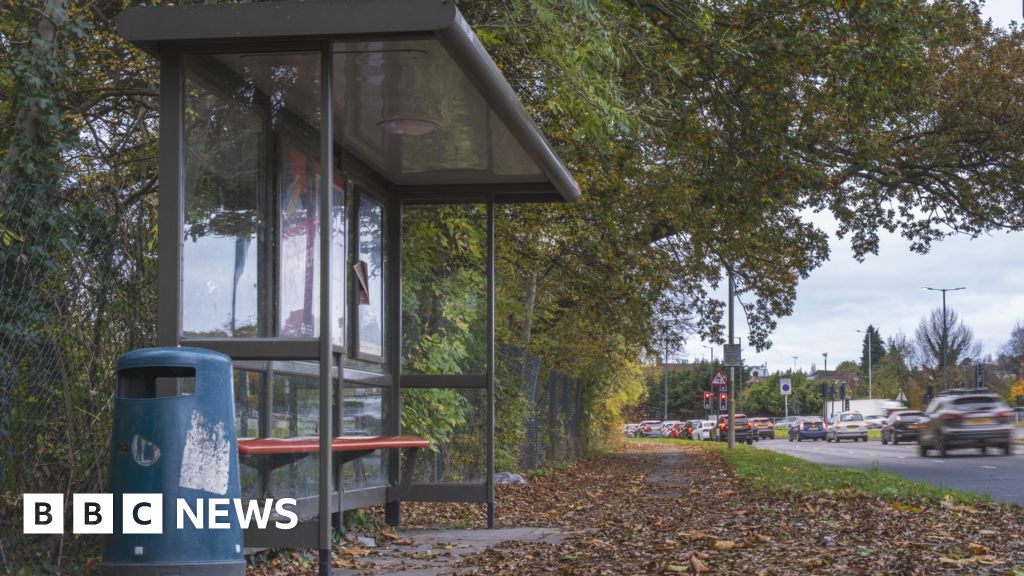 Surrey County Council launches on demand mini bus scheme - BBC News