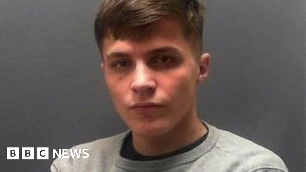 Harry Powell: 'Bully' jailed for attack at York station - BBC News