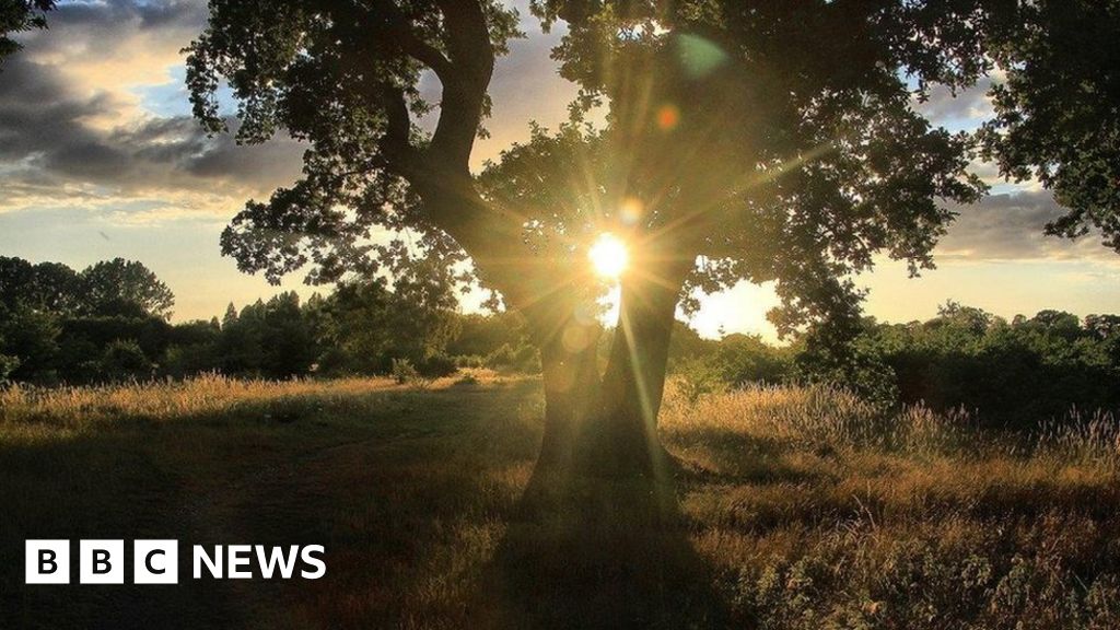 England's Big Picture: 20 - 26 July - BBC News